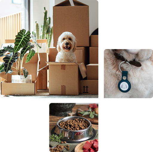 尼尔森 IQ 和 GfK 共同提供了消费者购买行为的完整全貌。 - nielseniq-cn